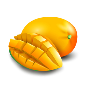 Koku Çeşitleri - Akscent